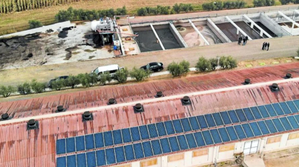 Moving the Swine (and its Manure) - OriginClear Tech